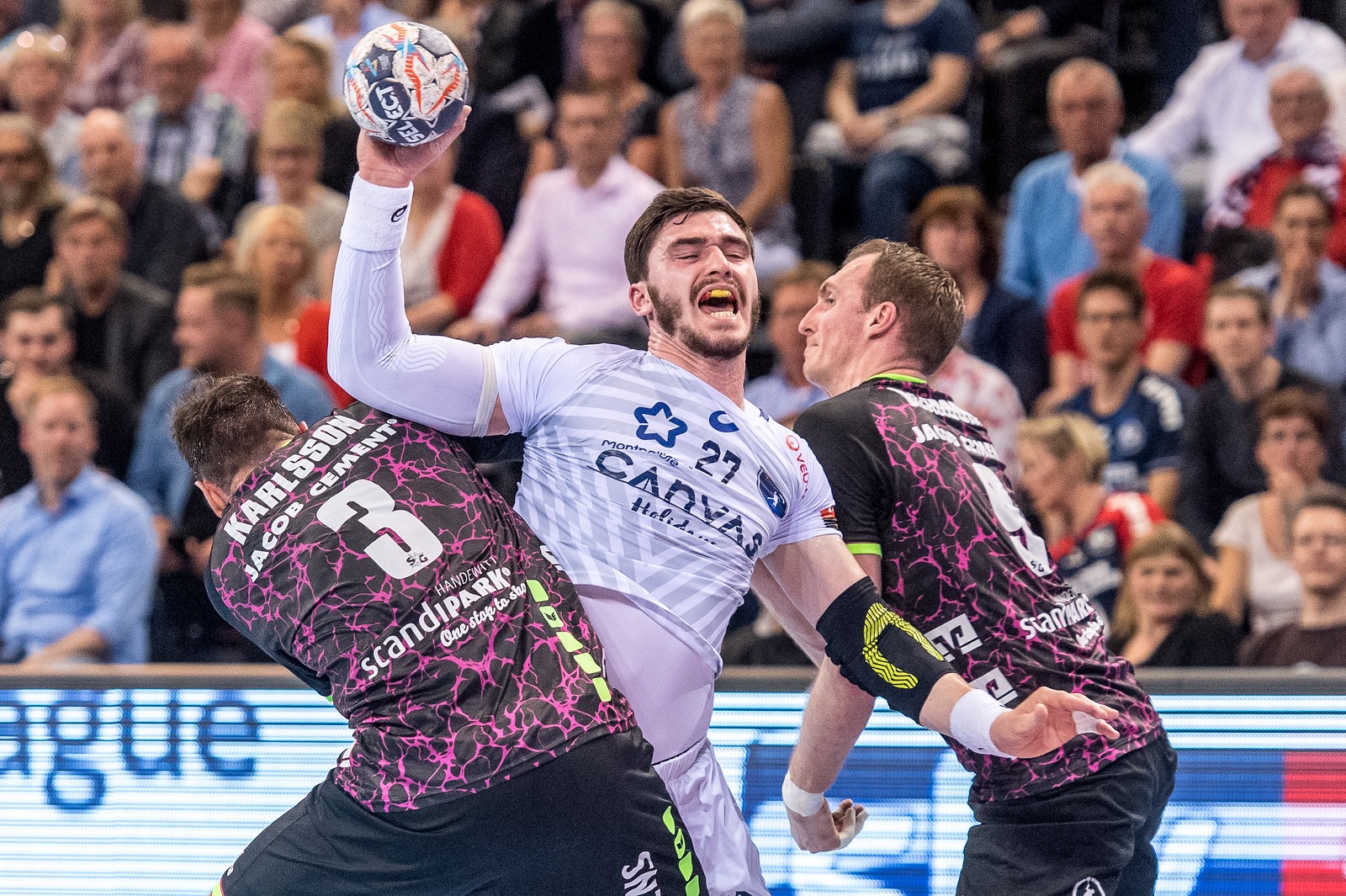 UCPH Union des Clubs Professionnels de Handball